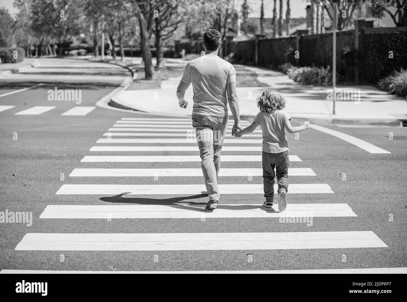 back view. father and son walk on zebra crossing. family value. parent ...