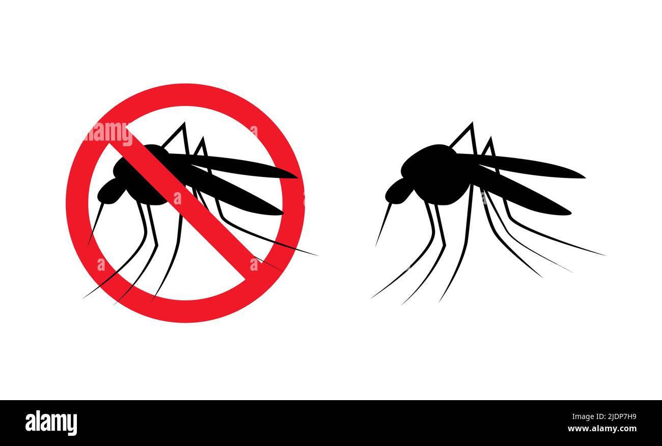 Tiger mosquito drawing hi-res stock photography and images - Alamy