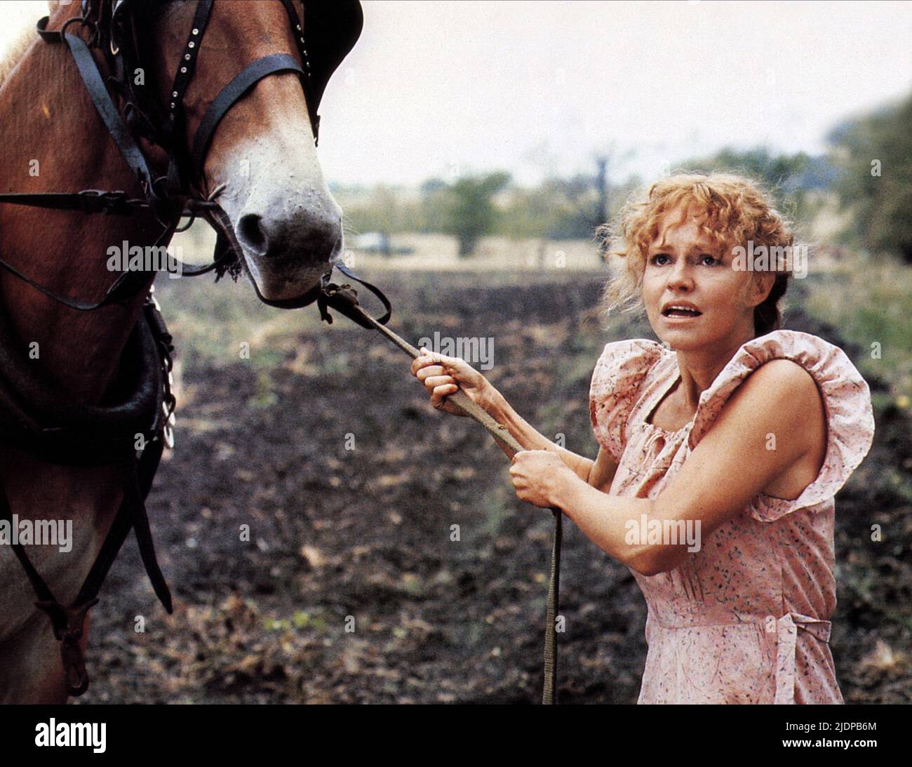 SALLY FIELD, PLACES IN THE HEART, 1984 Stock Photo - Alamy