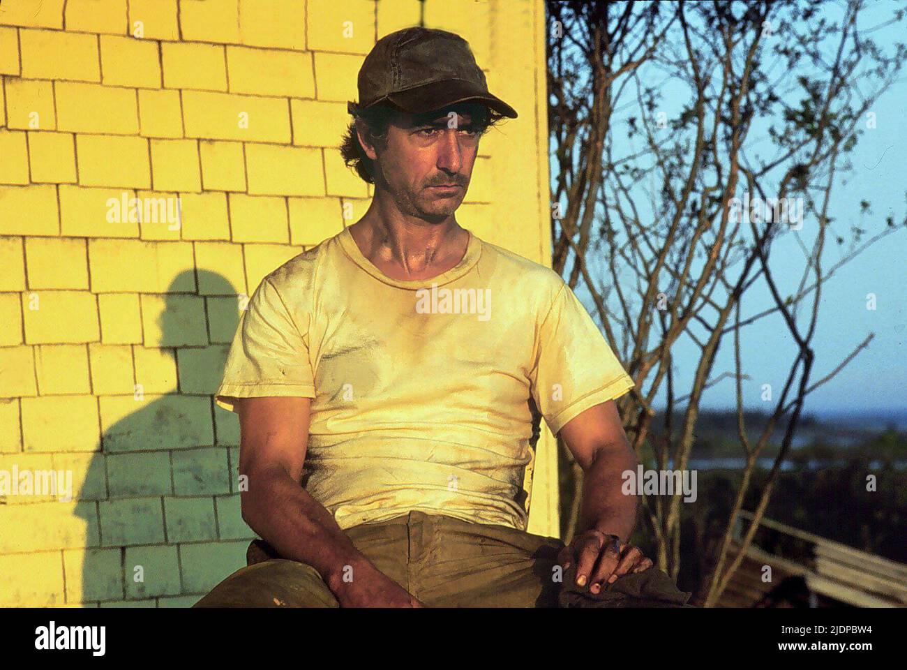 DAVID STRATHAIRN, DOLORES CLAIBORNE, 1995 Stock Photo - Alamy