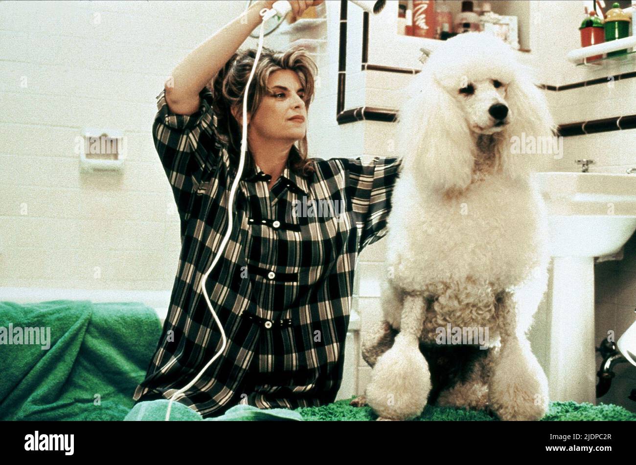 Kirstie alley poodle dog look hi-res stock photography and images - Alamy