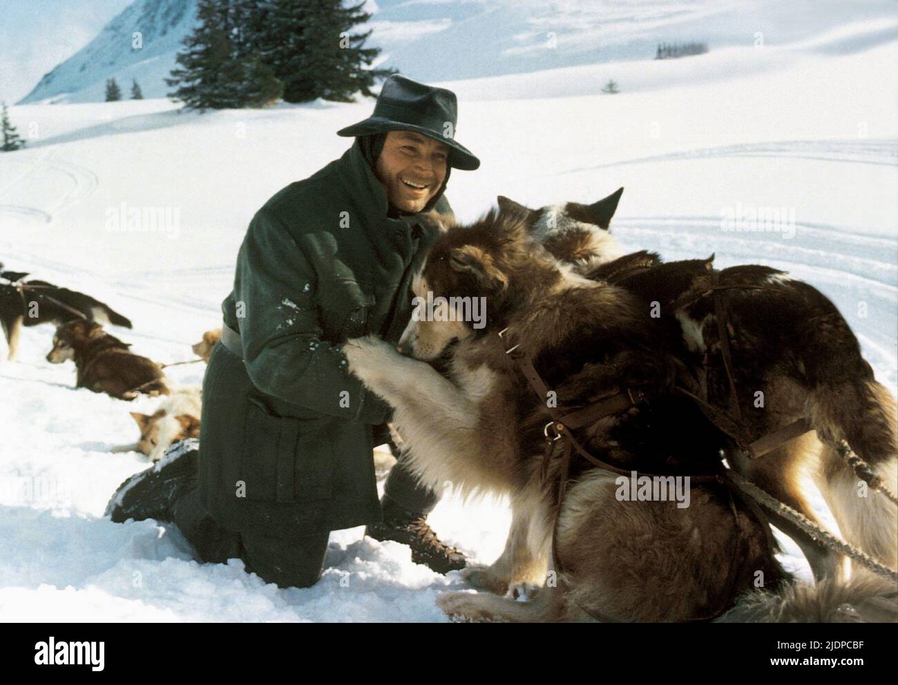 White fang movie hi-res stock photography and images - Alamy