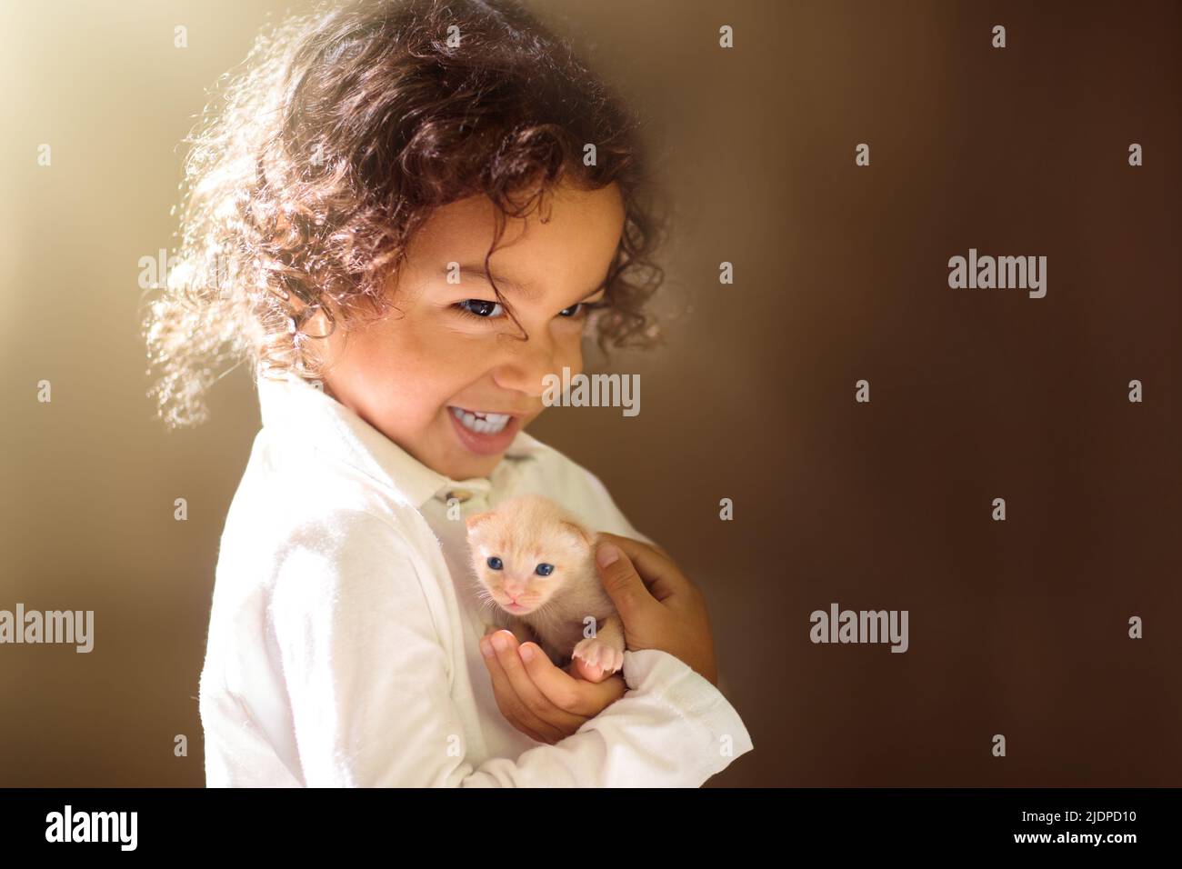 Little boy with baby cat. Child with newborn kitten. Adorable curly kid ...