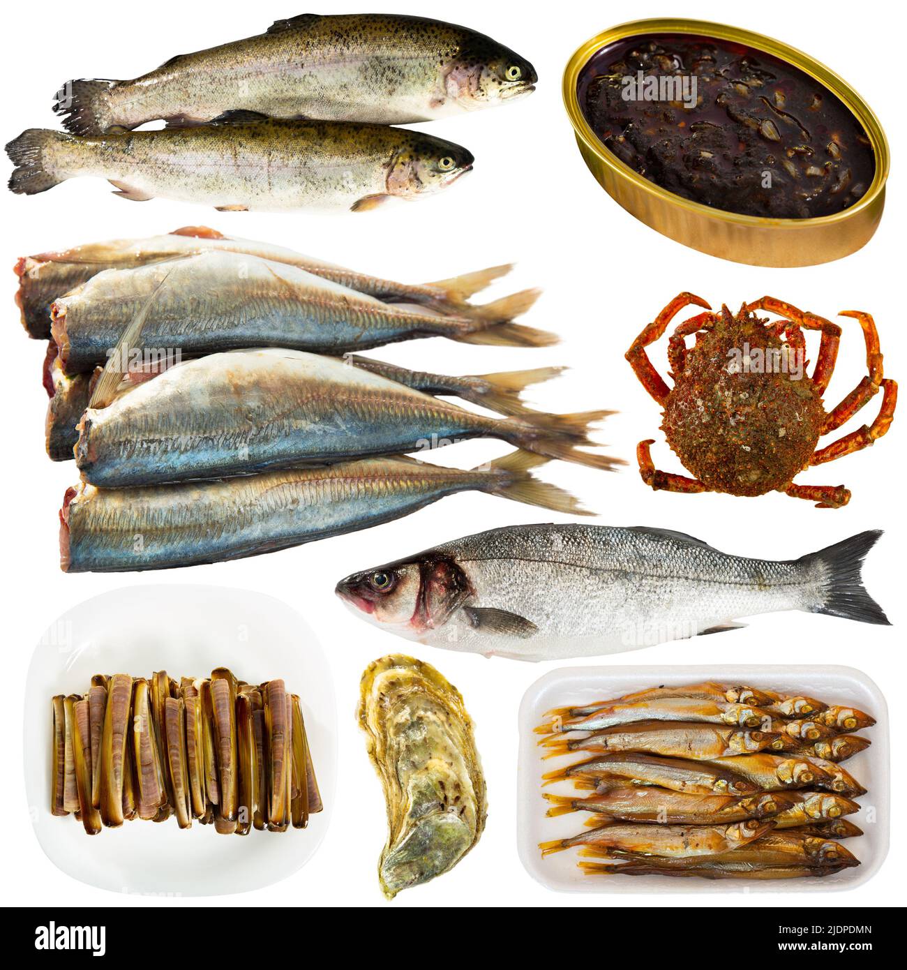 Collection of raw fish and semi-finished seafood Stock Photo - Alamy