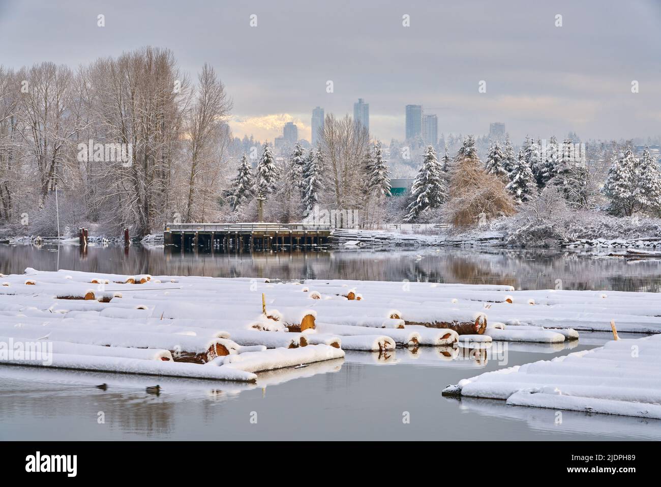Snow on Log Booms Fraser River. Log booms under snow on the Fraser ...