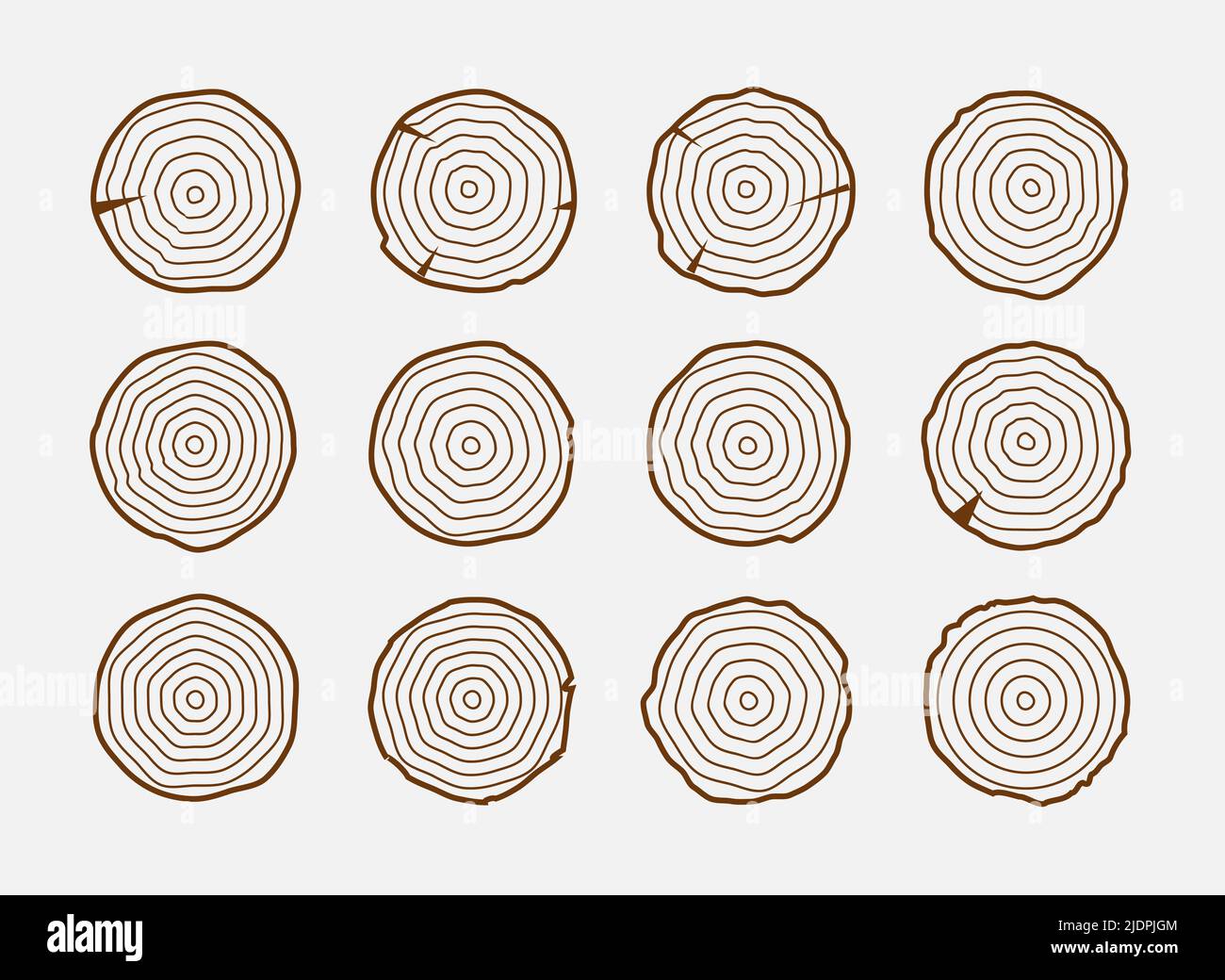 Tree growth rings wood trunk vector annual organic stump. Tree circle ...