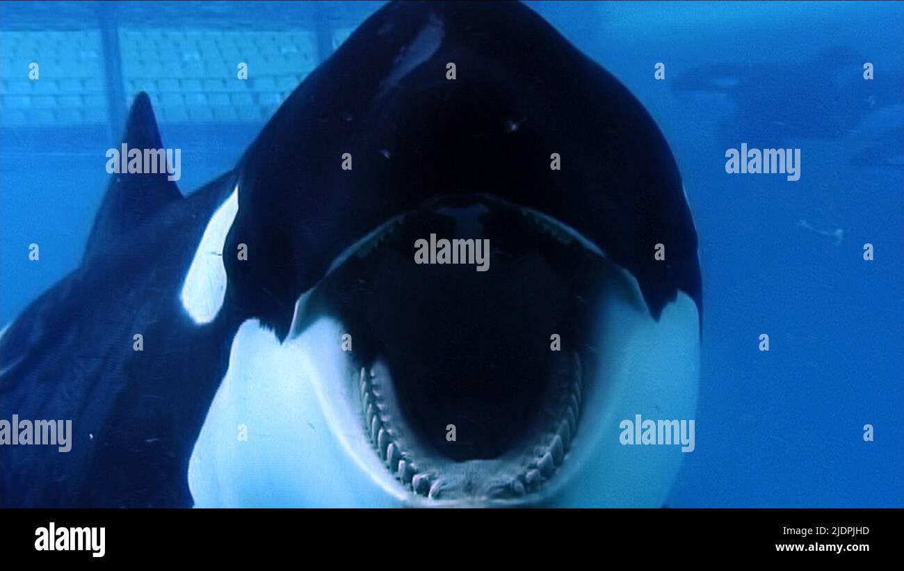 Blackfish Movie Poster