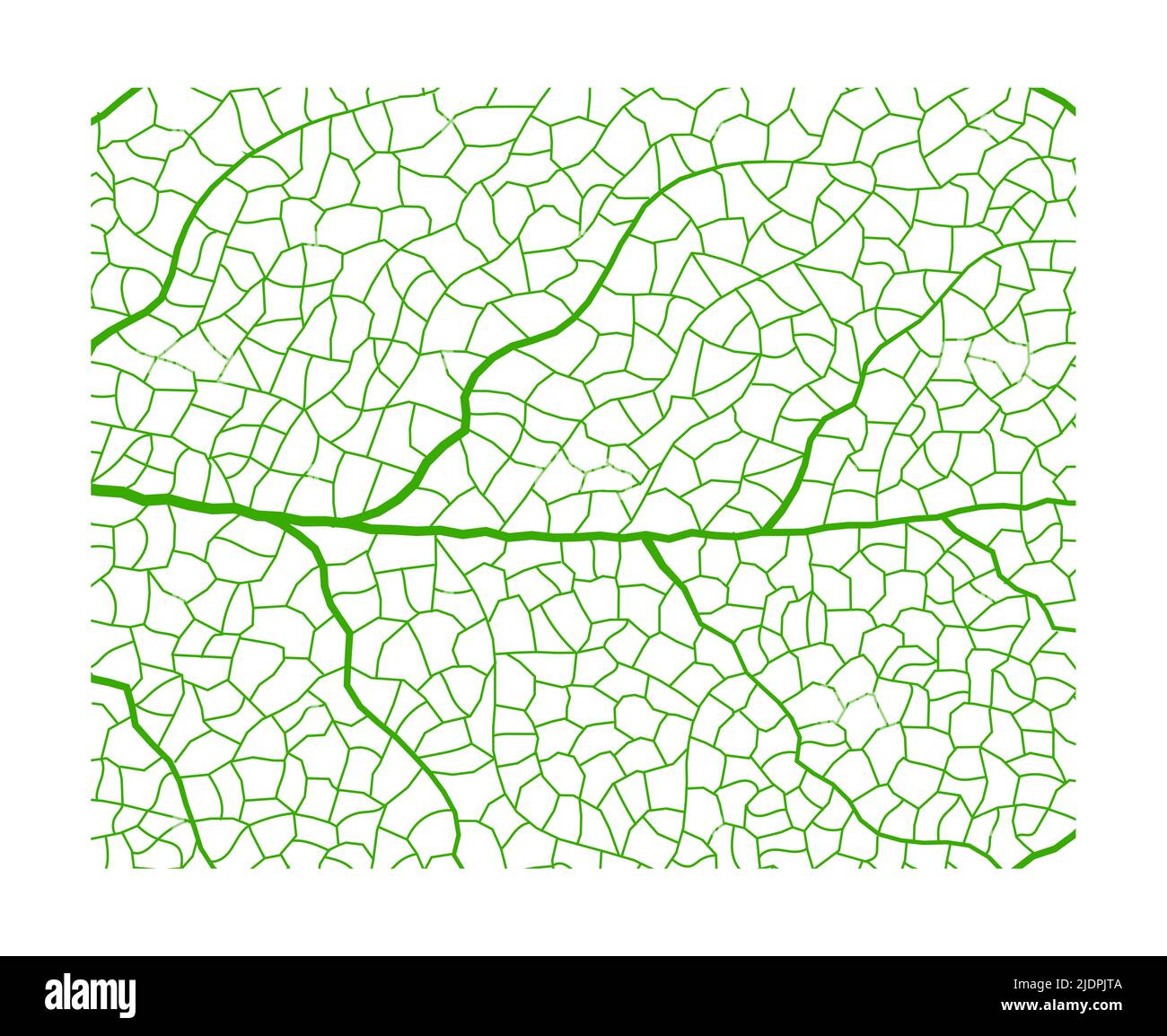 Leaf vein vector texture isolated transparent autumn black detail ...