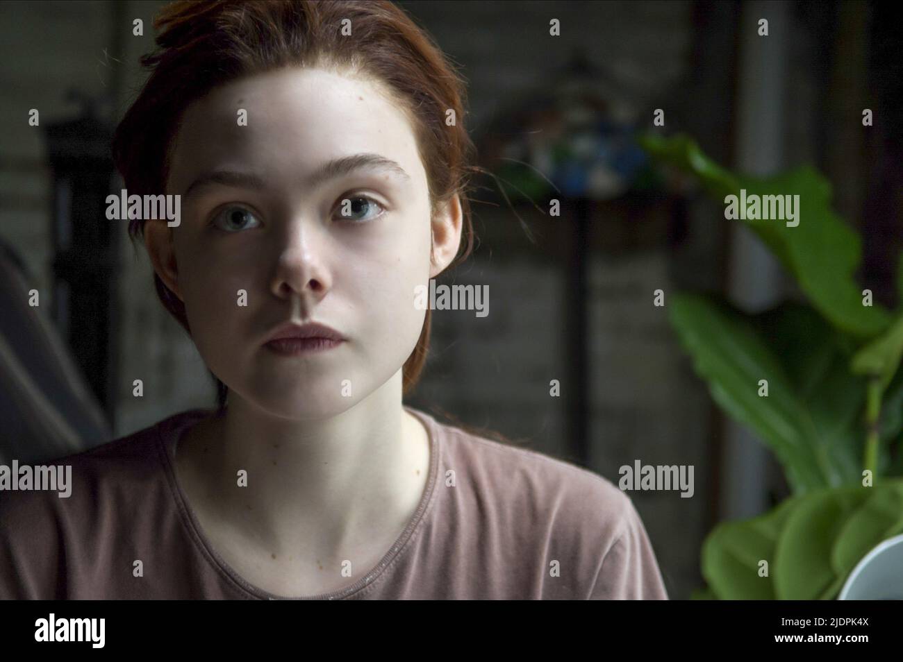 ELLE FANNING, 3 GENERATIONS, 2015 Stock Photo - Alamy