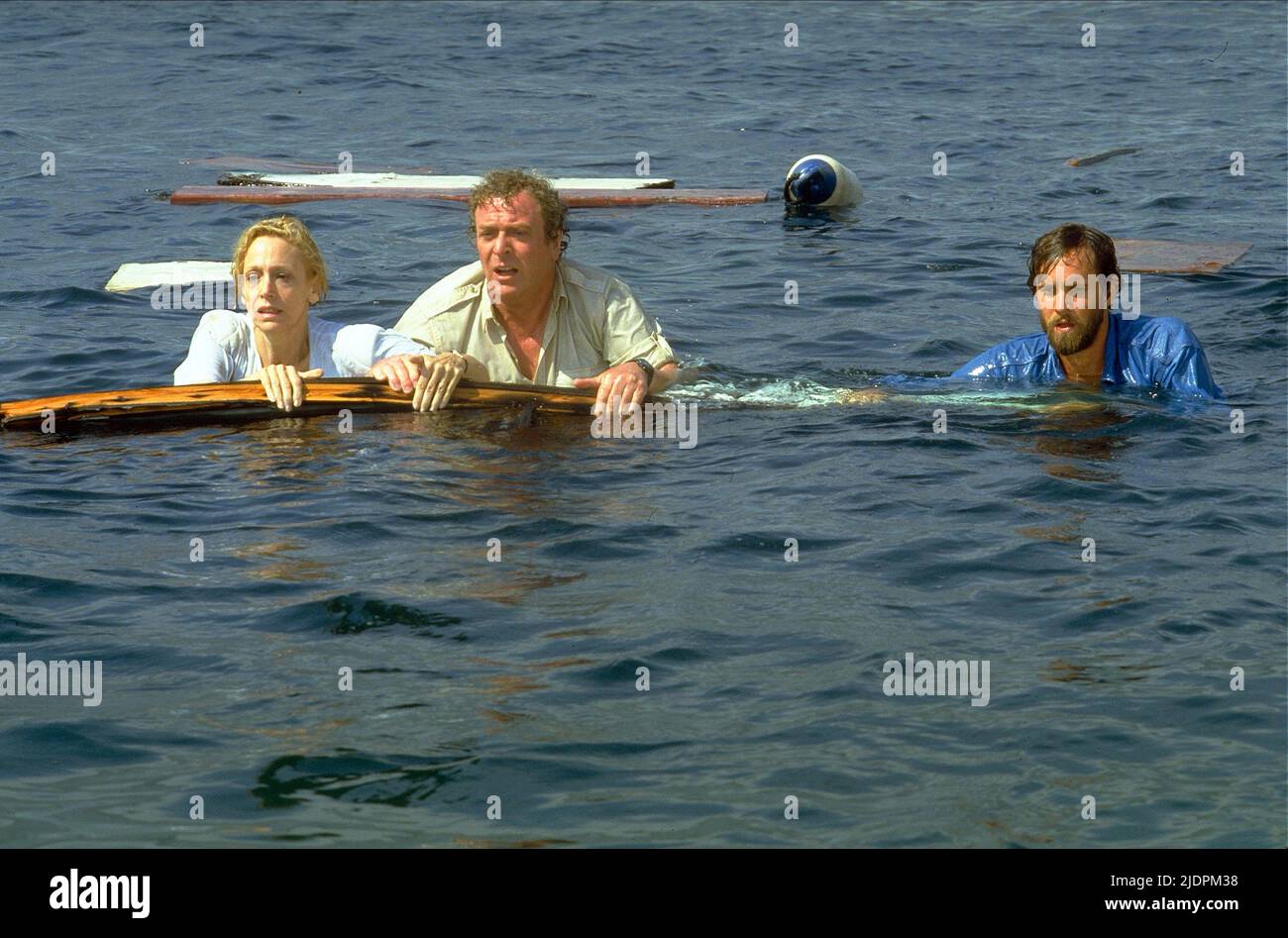 GARY,CAINE,GUEST, JAWS: THE REVENGE, 1987 Stock Photo - Alamy