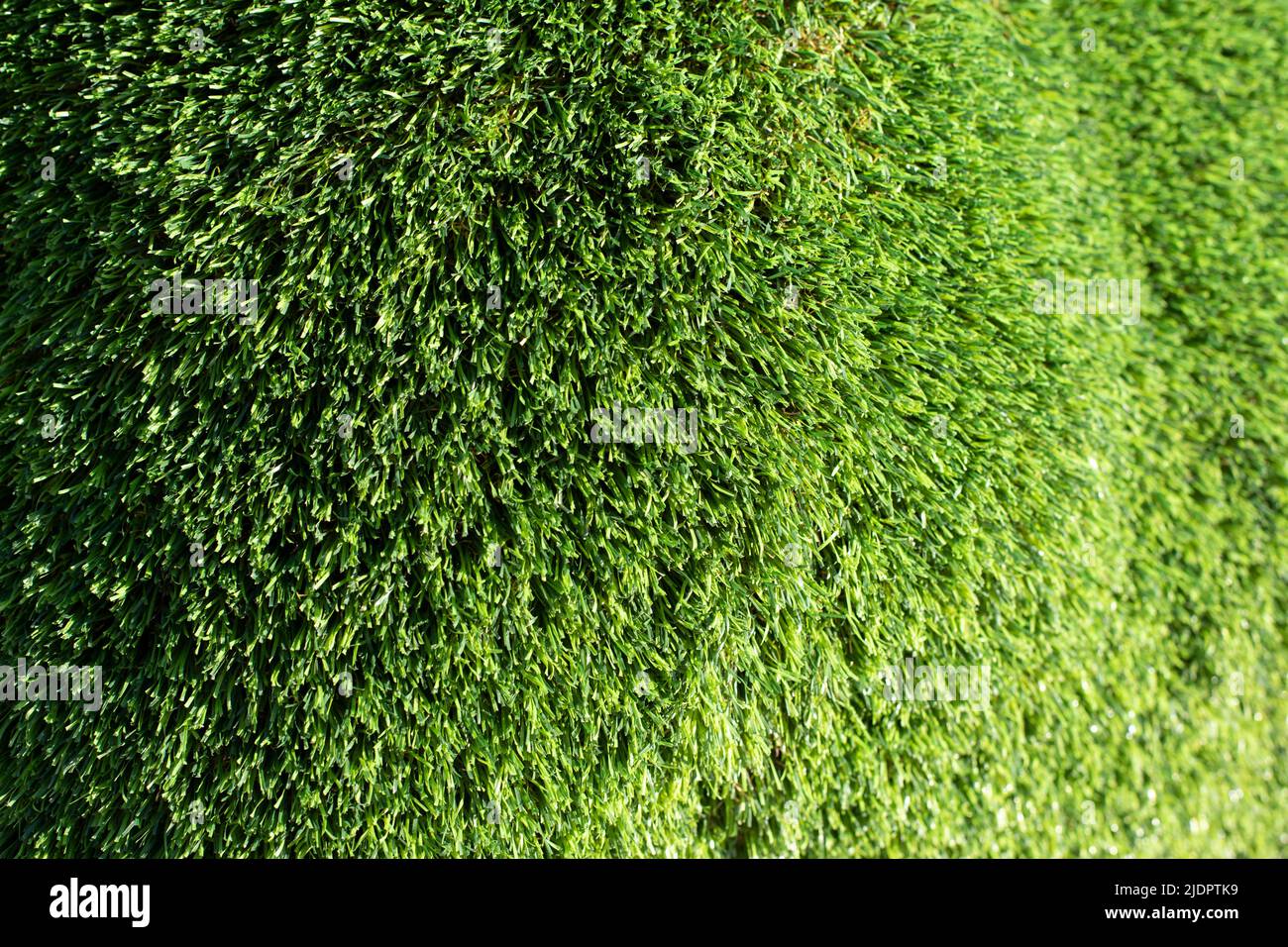 Green grass. Texture of artificial lawn. Details of park figure Stock ...