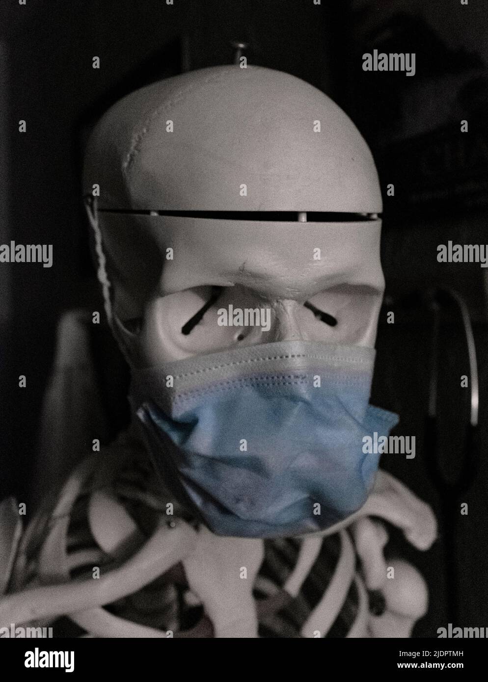 Human skeleton w mask hi-res stock photography and images - Alamy