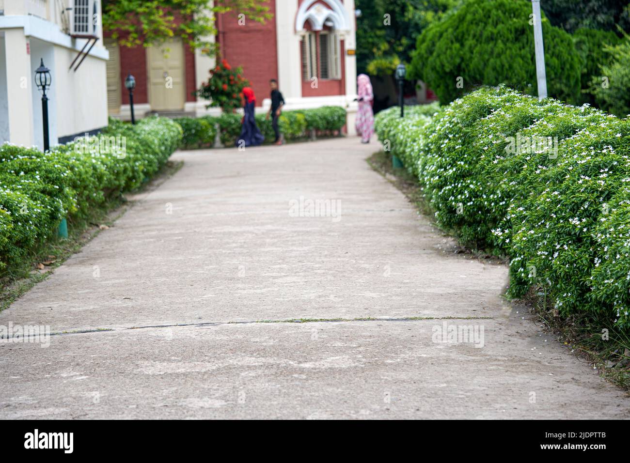 Abandoned concrete road in the dull spring day Stock Photo - Alamy