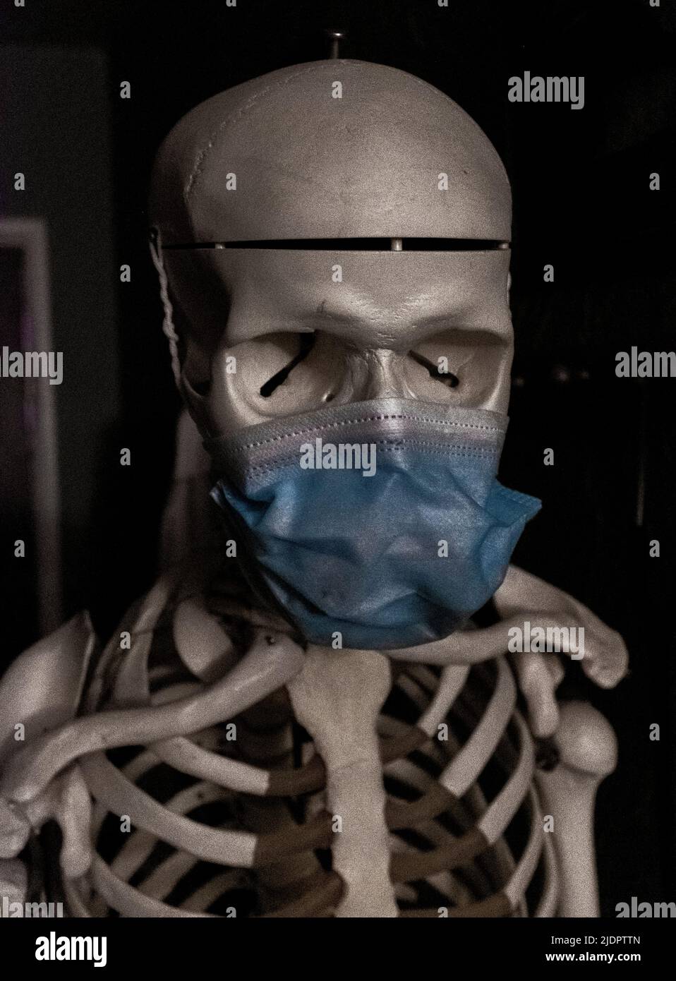 Skull in the medical mask hi-res stock photography and images - Alamy