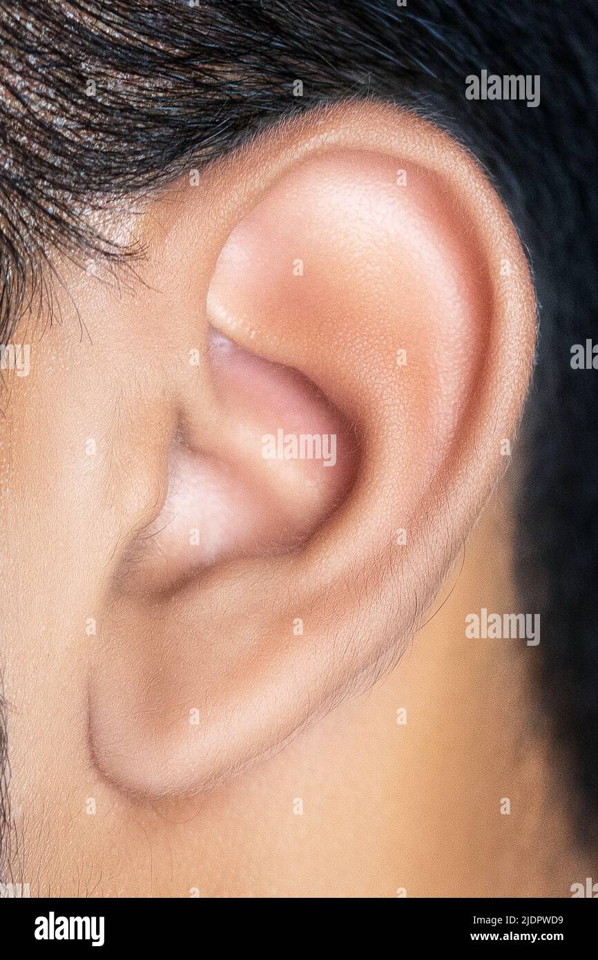 bright closeup picture of a Male ear Stock Photo - Alamy