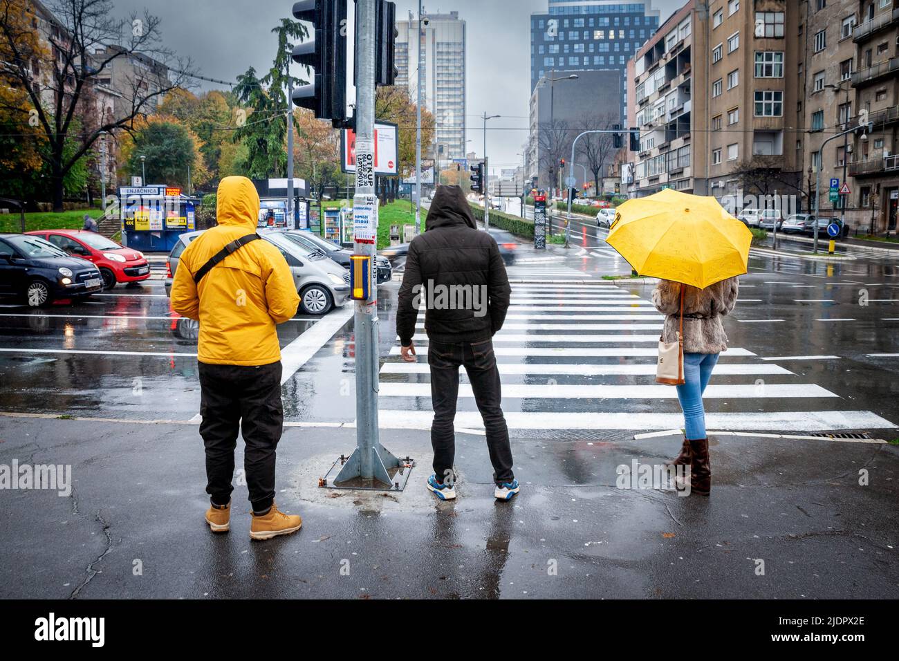 Picture of people with an umbrella waiting for green light to cross a ...