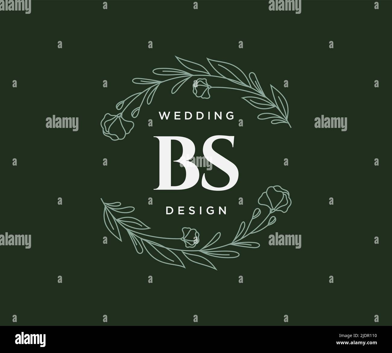 BS Initials letter Wedding monogram logos collection, hand drawn modern ...