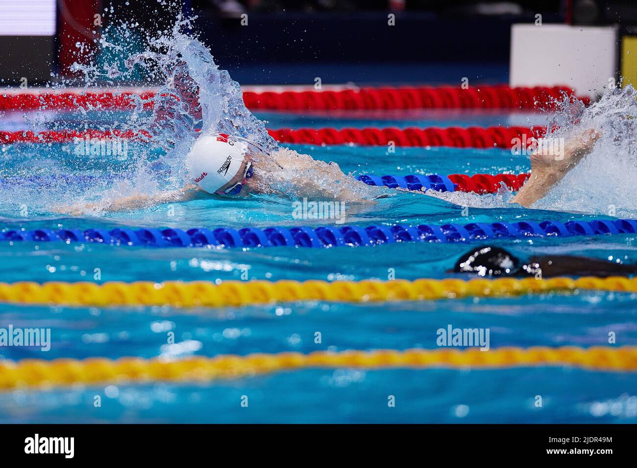 Pan zhanle hi-res stock photography and images - Alamy