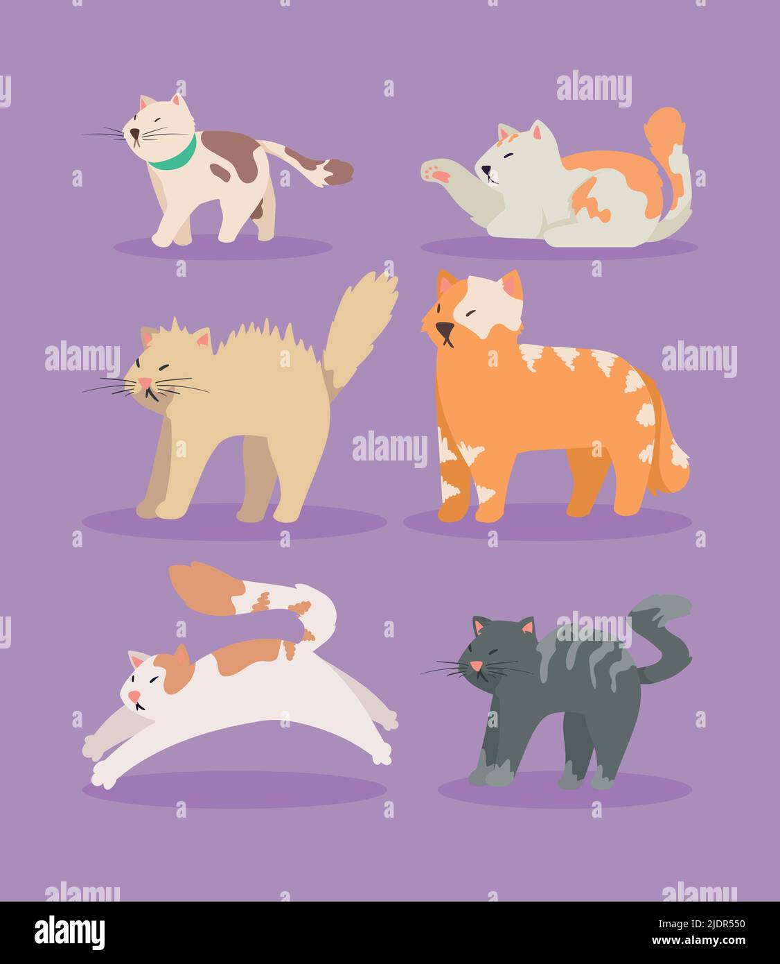 six cute cats mascots Stock Vector Image & Art - Alamy
