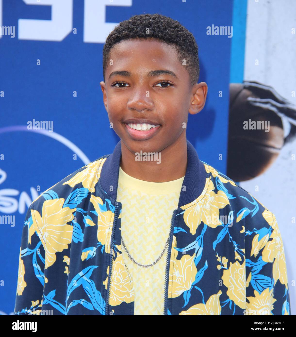 Burbank, USA. 22nd June, 2022. Seth Carr arrives at The Disney RISE ...