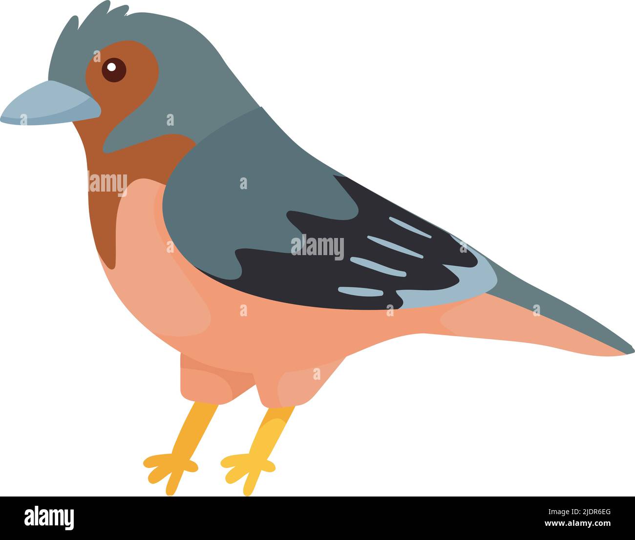 Flying partridge bird Stock Vector Images - Alamy