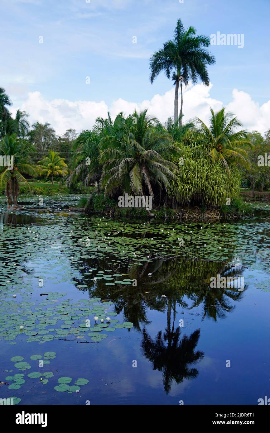 Zapata swamp national park hi-res stock photography and images - Alamy