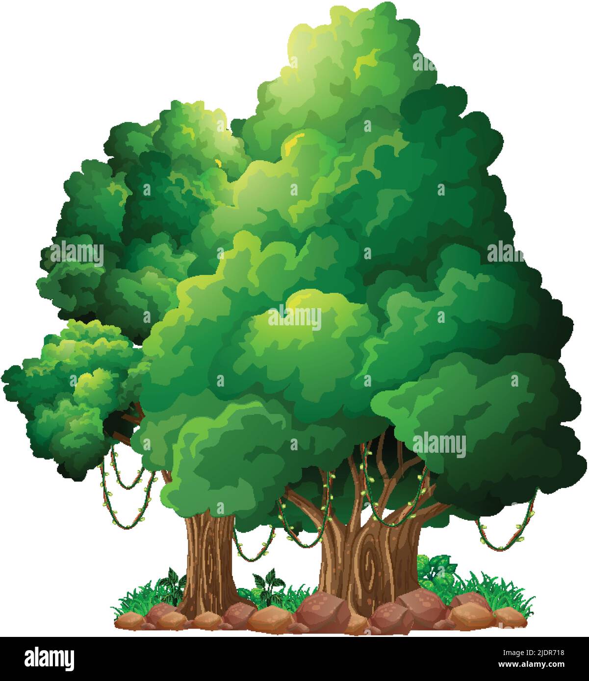 Big tree isolated cartoon illustration Stock Vector Image & Art - Alamy