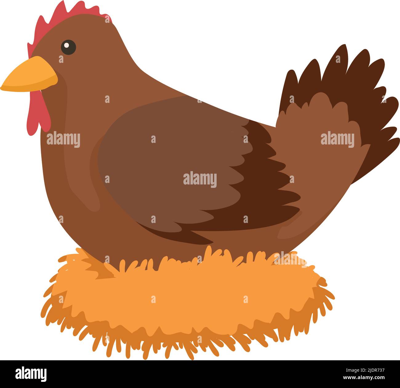 hen bird animal spice Stock Vector Image & Art - Alamy