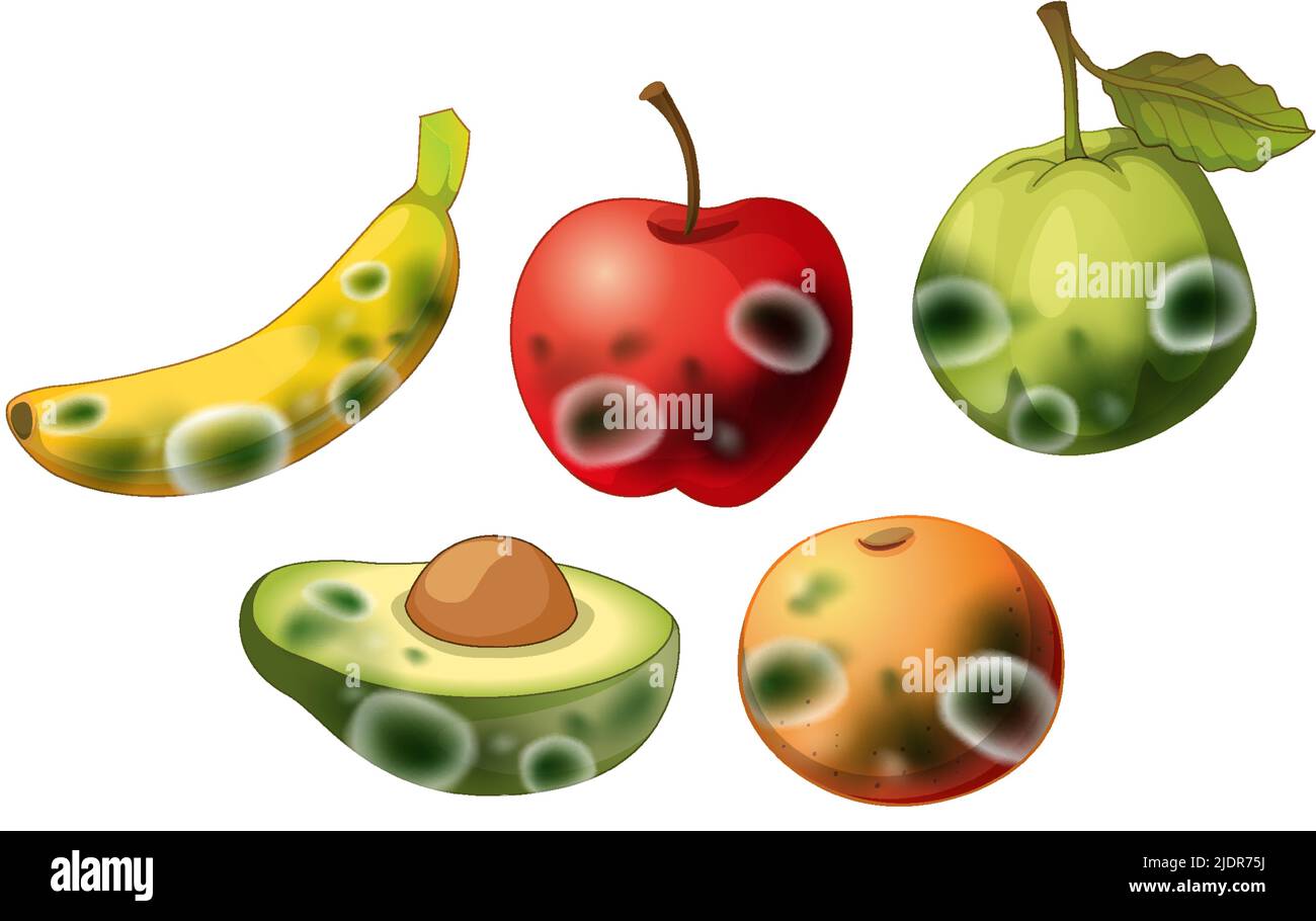 Set of inedible fruit with mould illustration Stock Vector Image & Art ...
