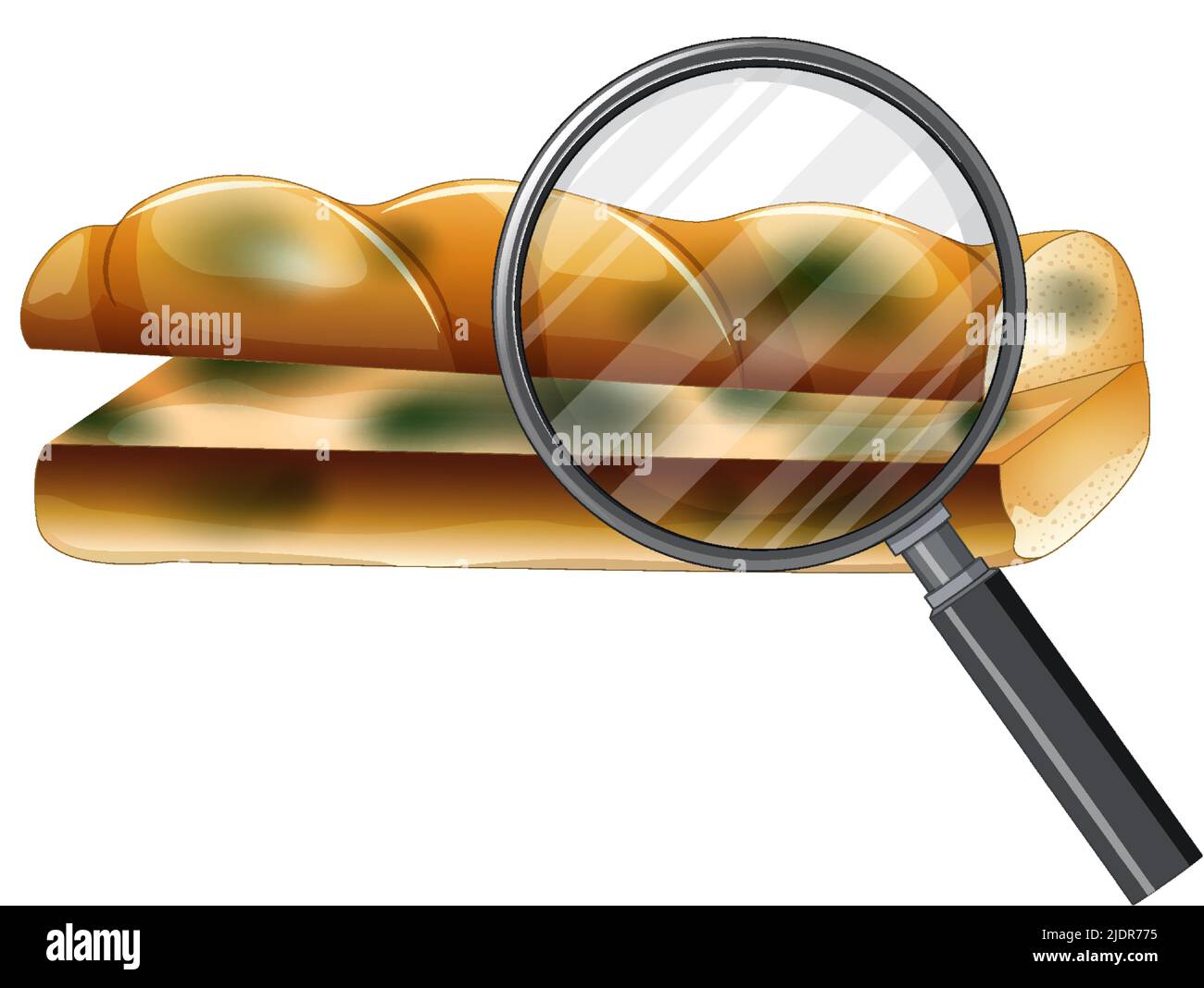 Inedible bread with mould illustration Stock Vector Image & Art - Alamy