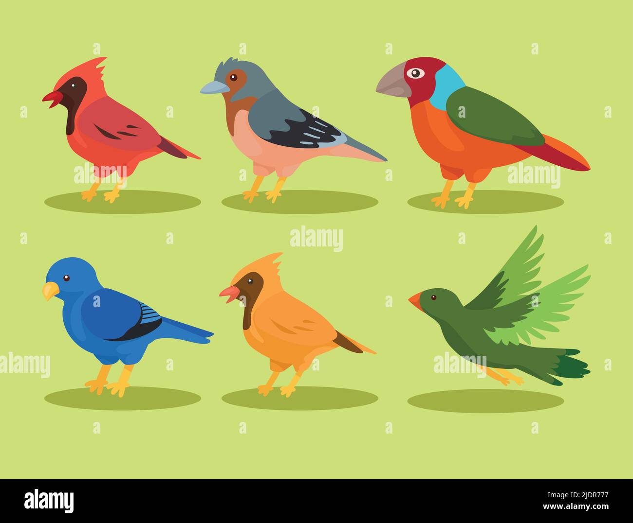 six birds species icons Stock Vector Image & Art - Alamy