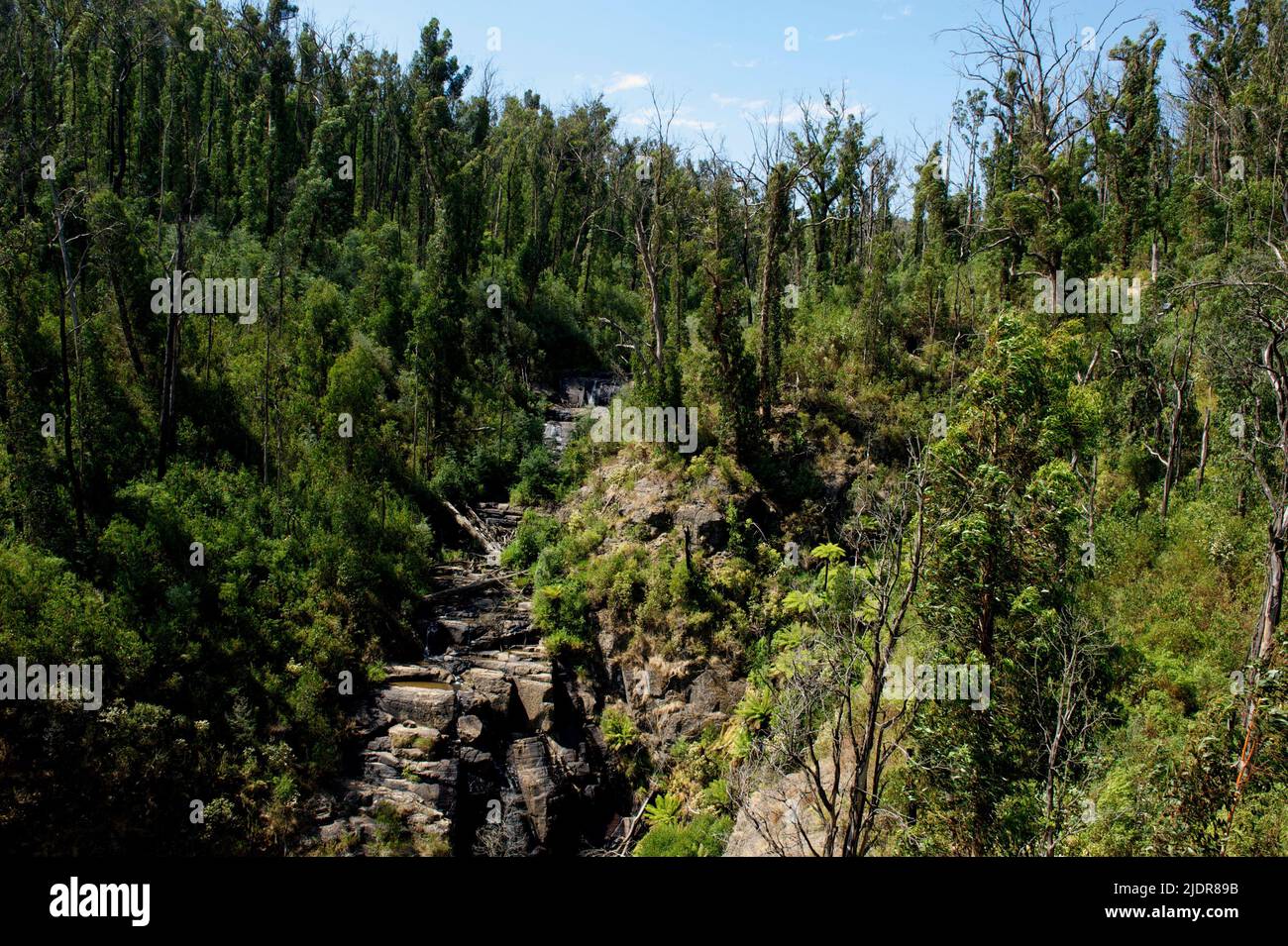 Black saturday fires hi-res stock photography and images - Alamy