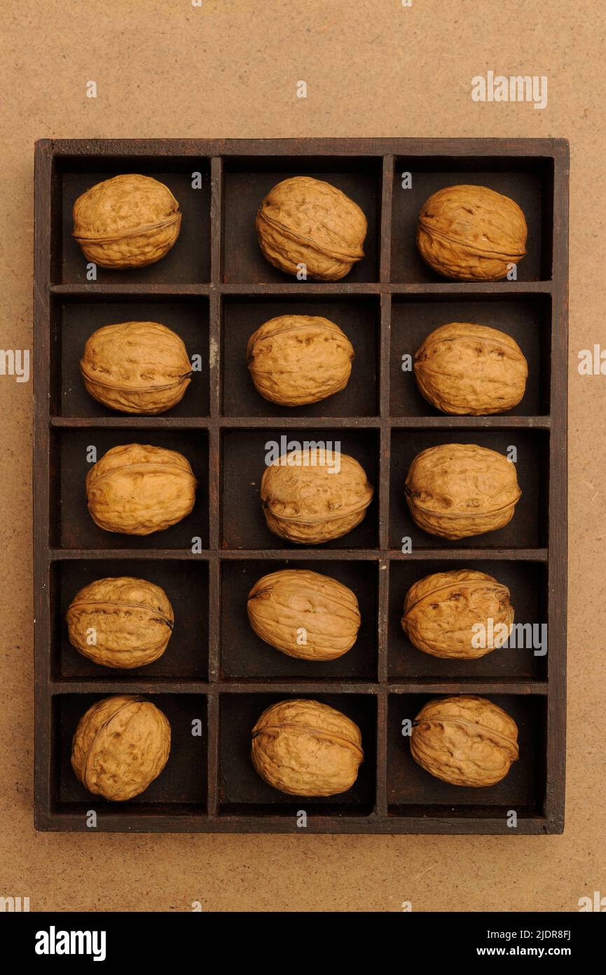 Walnuts design hi-res stock photography and images - Alamy