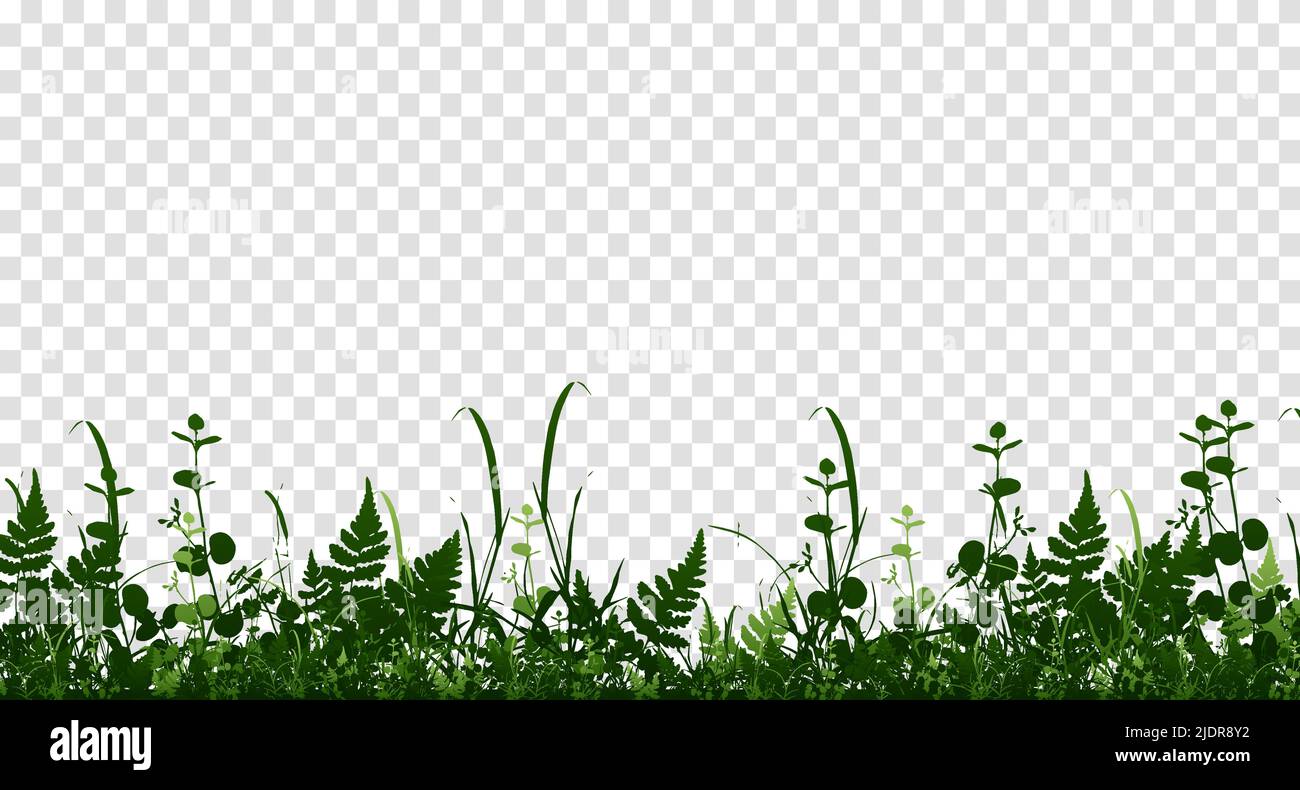 Vector bright green realistic seamless grass border isolated background ...