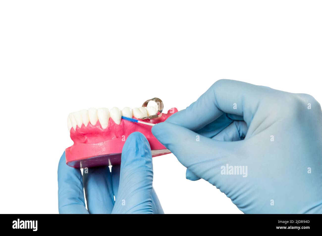 Close-up view of dentist's hands with a human jaw layout and a ...