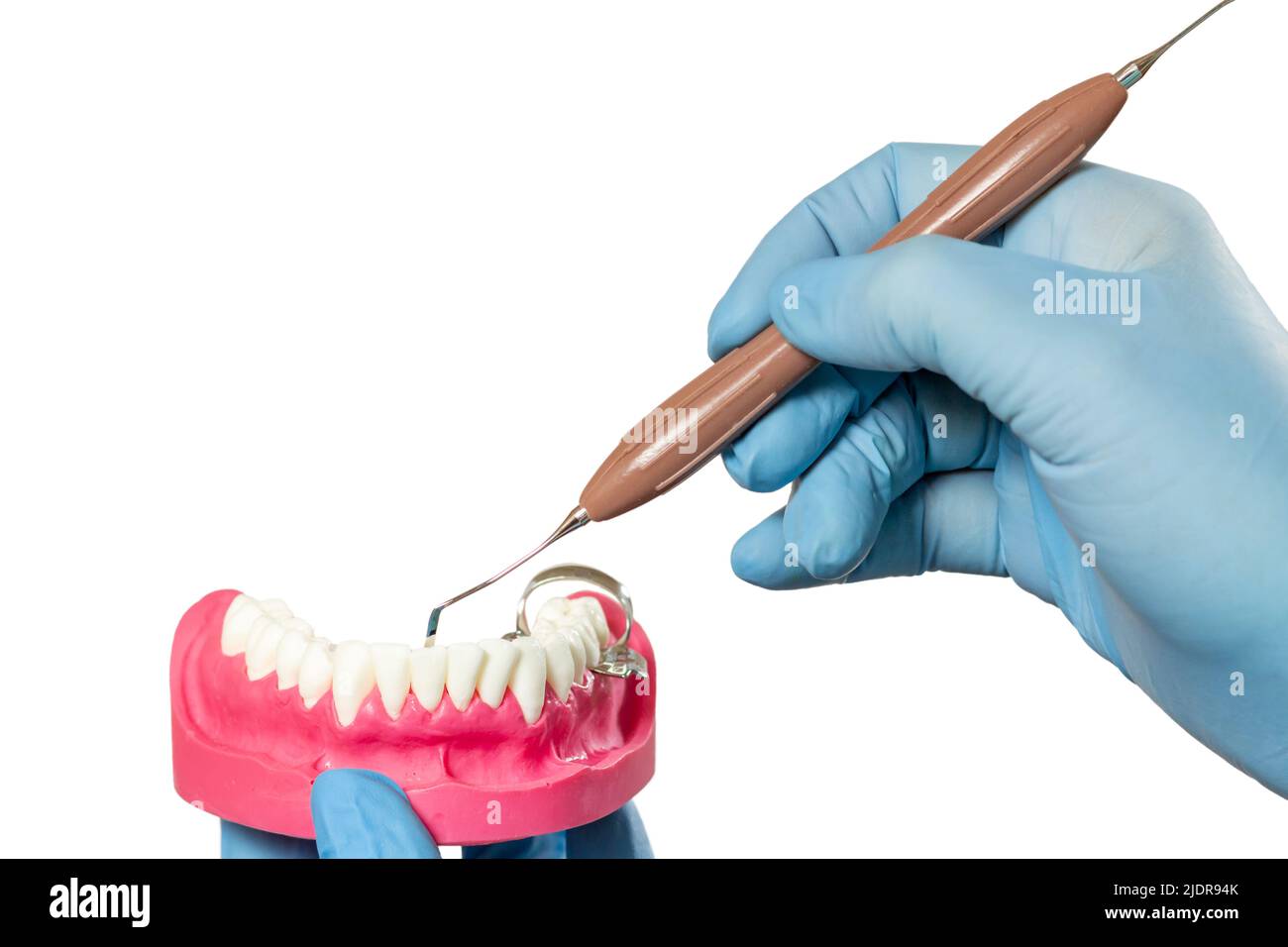 Close-up view of dentist's hands in latex gloves with a layout of the ...