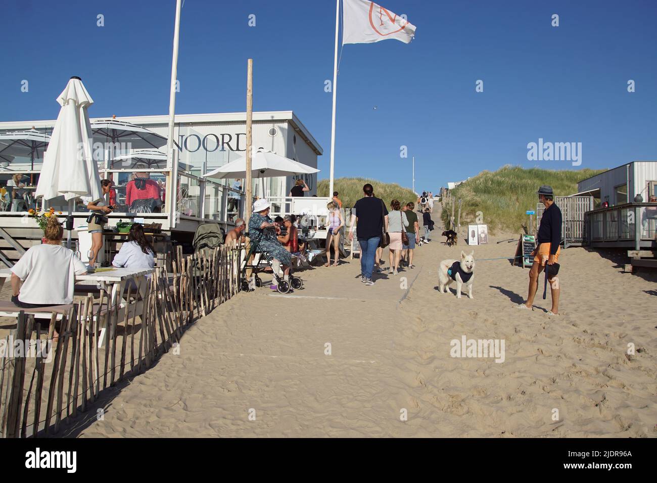 Bergen aan zee hi-res stock photography and images - Alamy
