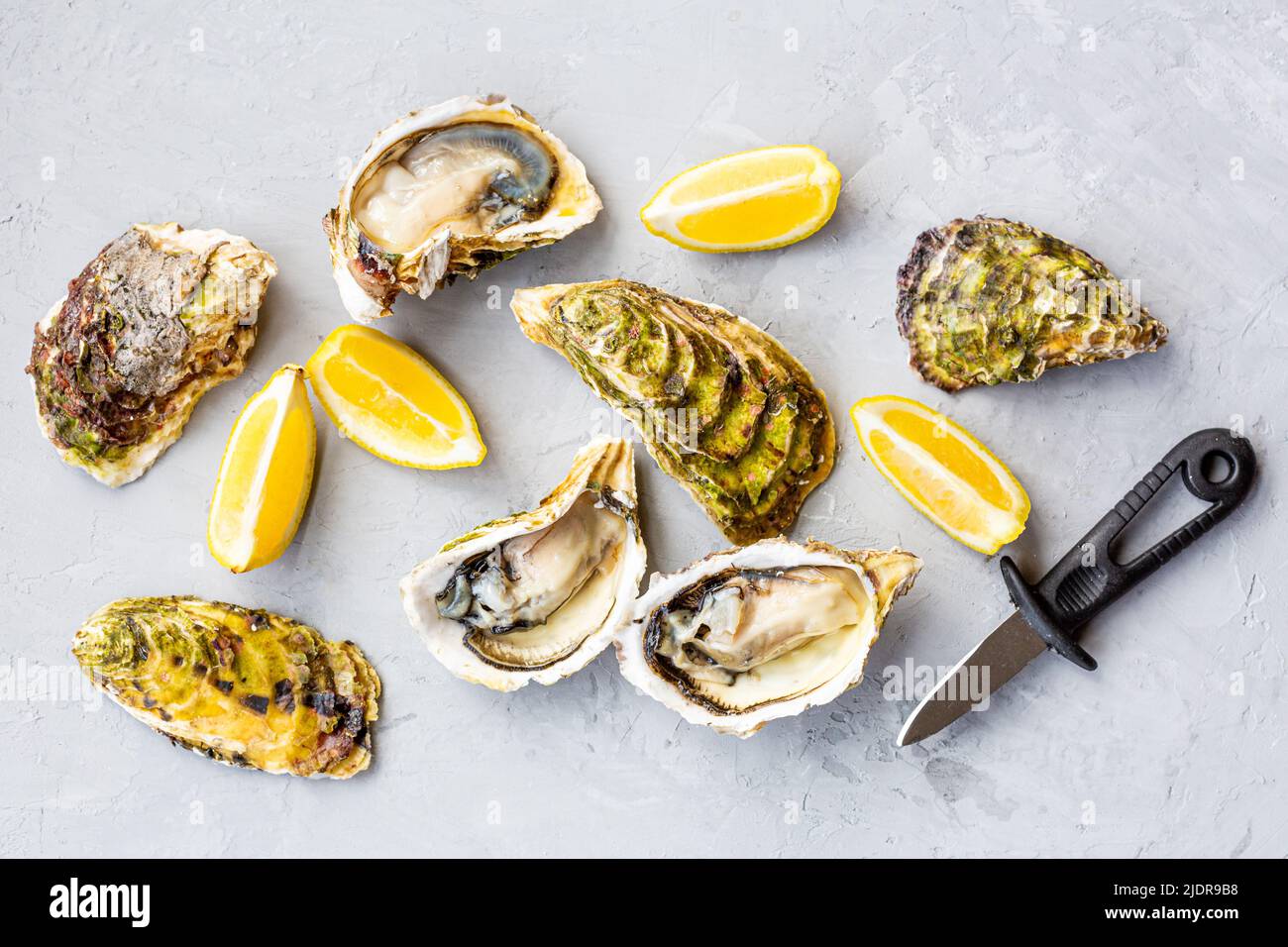 Fresh opened Oysters close-up on gray concrete background with sliced ...