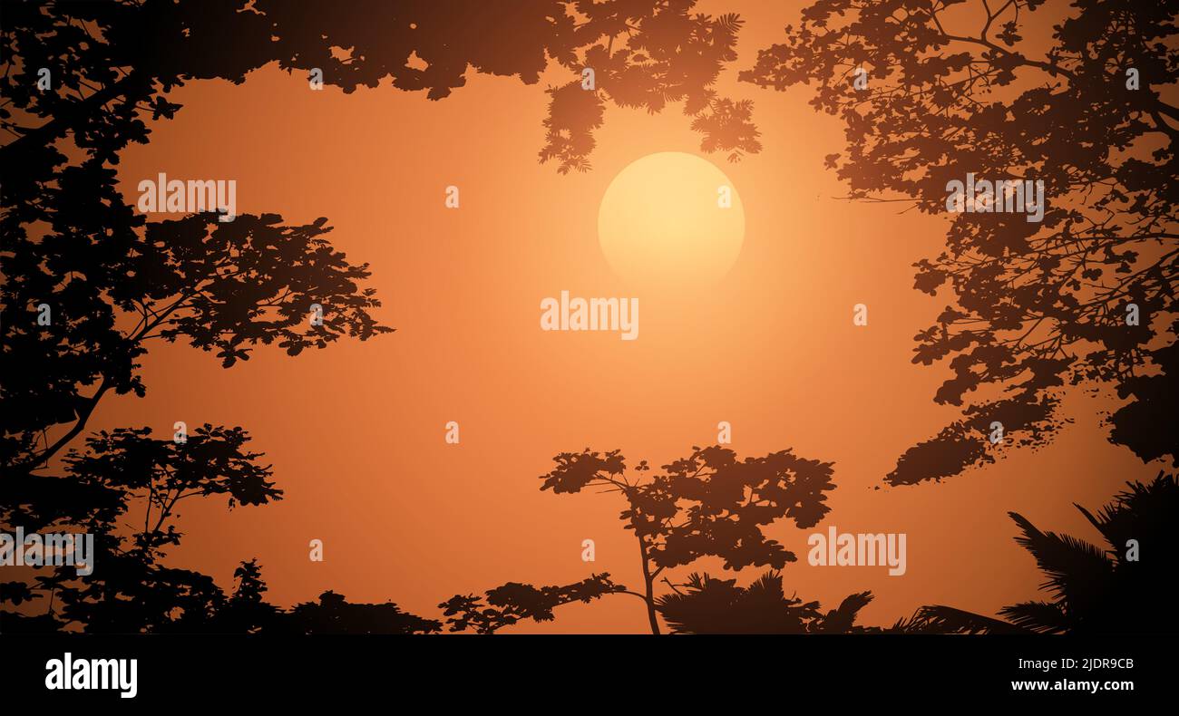 Sunset in the forest, beautiful landscape, big sun, forest silhouette ...