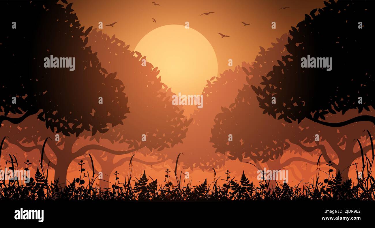 Sunset in the forest, beautiful landscape, big sun, forest silhouette ...