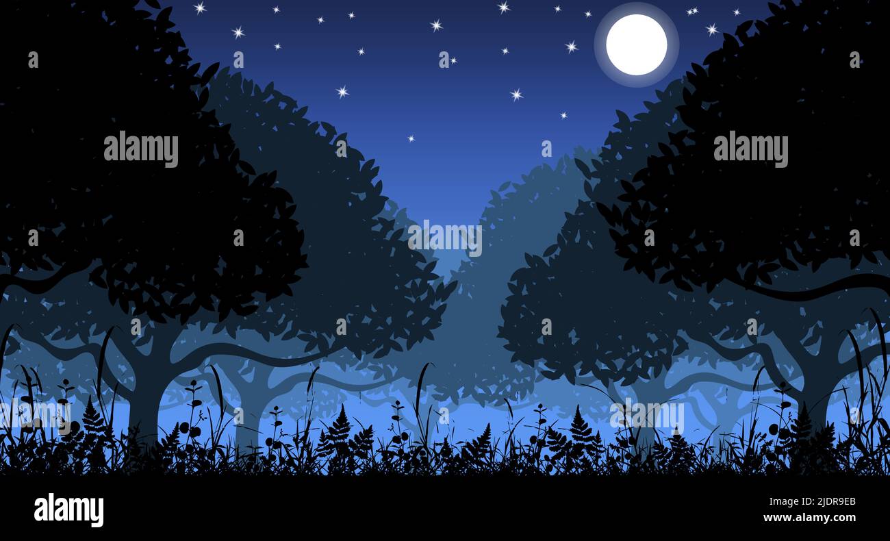 Night in the forest, beautiful landscape, with moon, forest silhouette ...