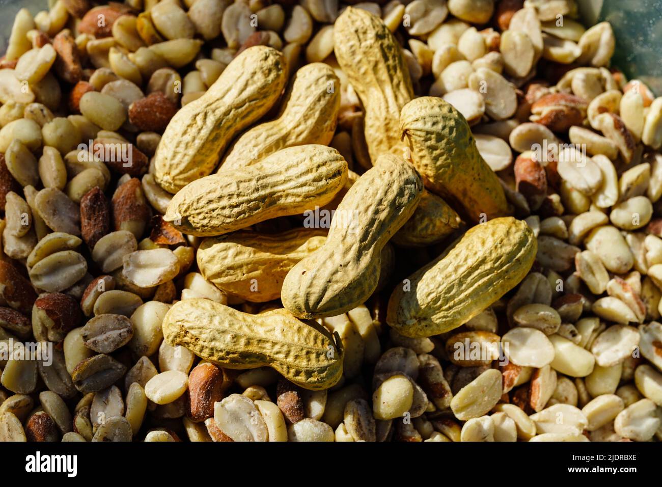 a stack of different nut tree fruits Stock Photo - Alamy