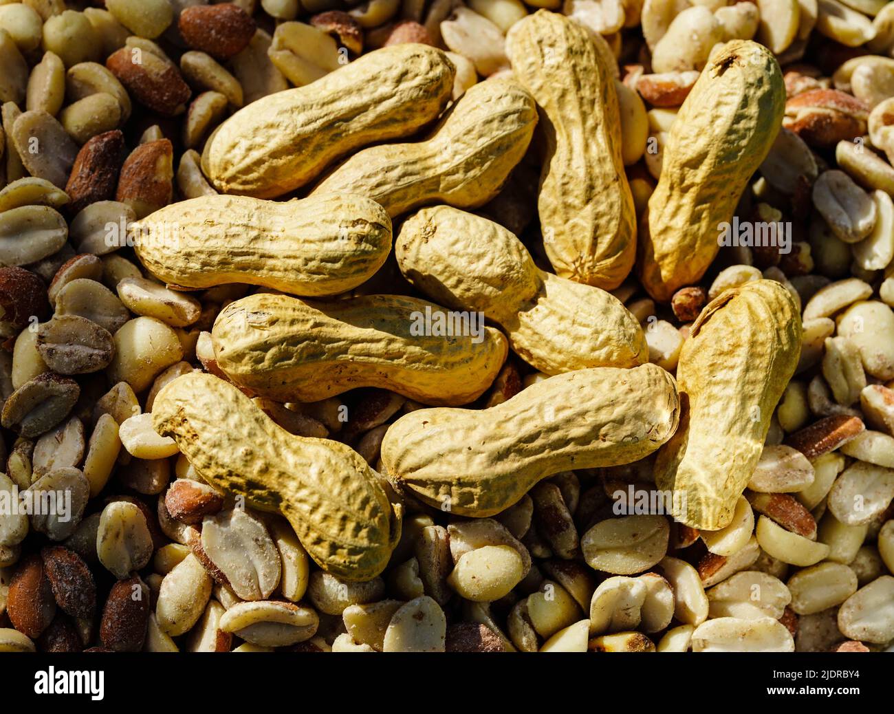 a stack of different nut tree fruits Stock Photo - Alamy