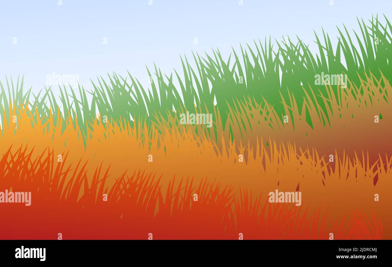 Grass. Nature rural landscape. Pasture overgrown. Overgrown dense lawn ...