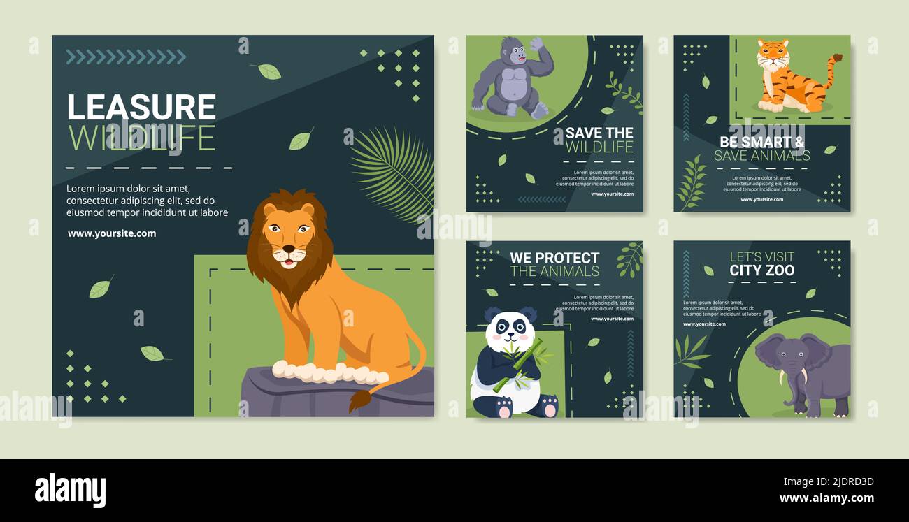 Wildlife Park Animals Social Media Post Template Flat Cartoon ...