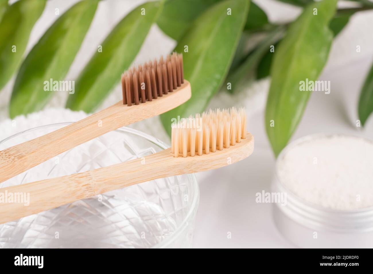 Two bamboo toothbrushes with mineral toothpowder kaolin in alu ...