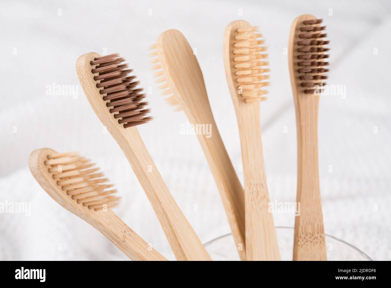 Natural biodegradable eco-friendly wooden toothbrushes with BPA free ...