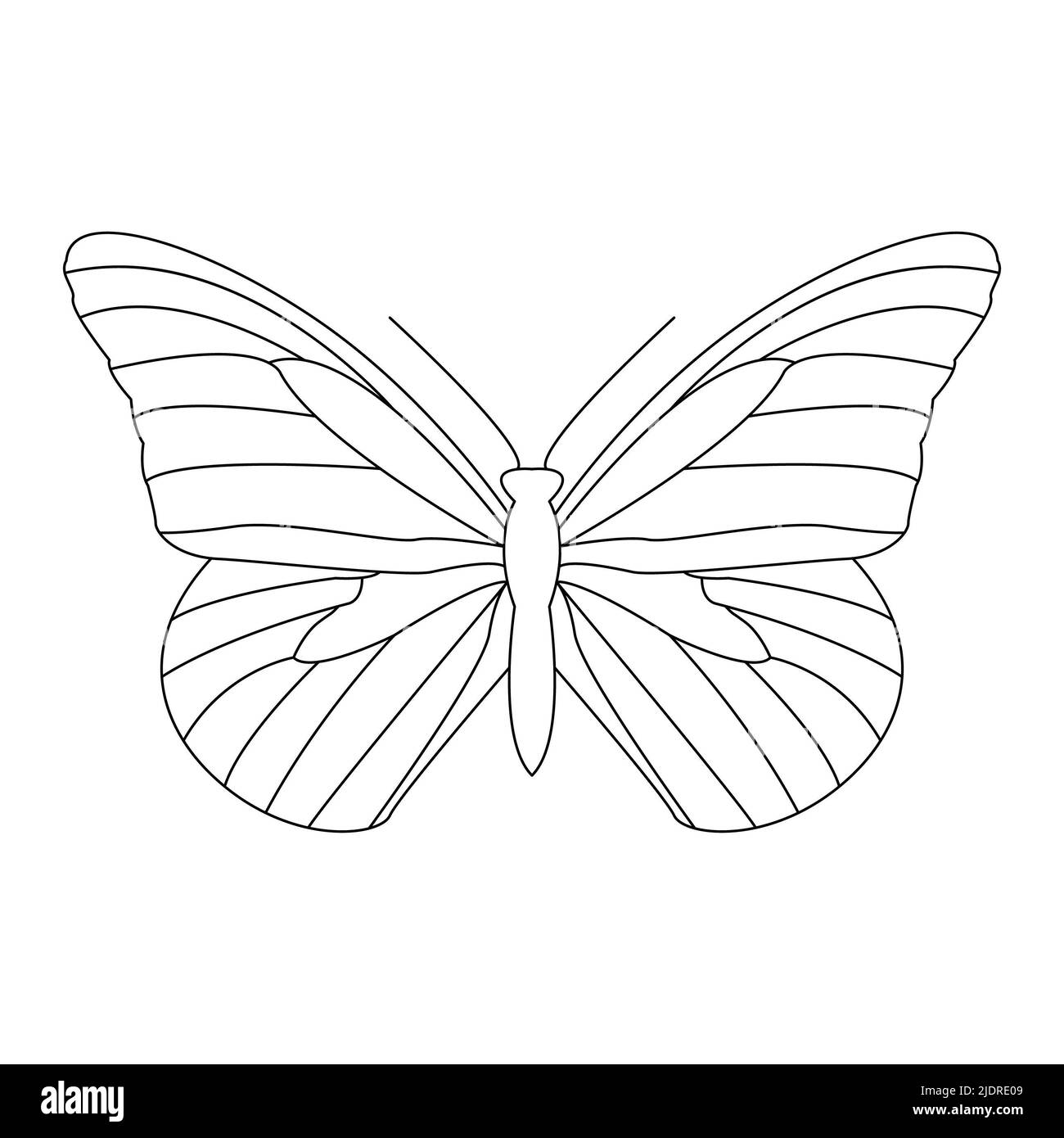 Butterfly outline clipart hi-res stock photography and images - Alamy