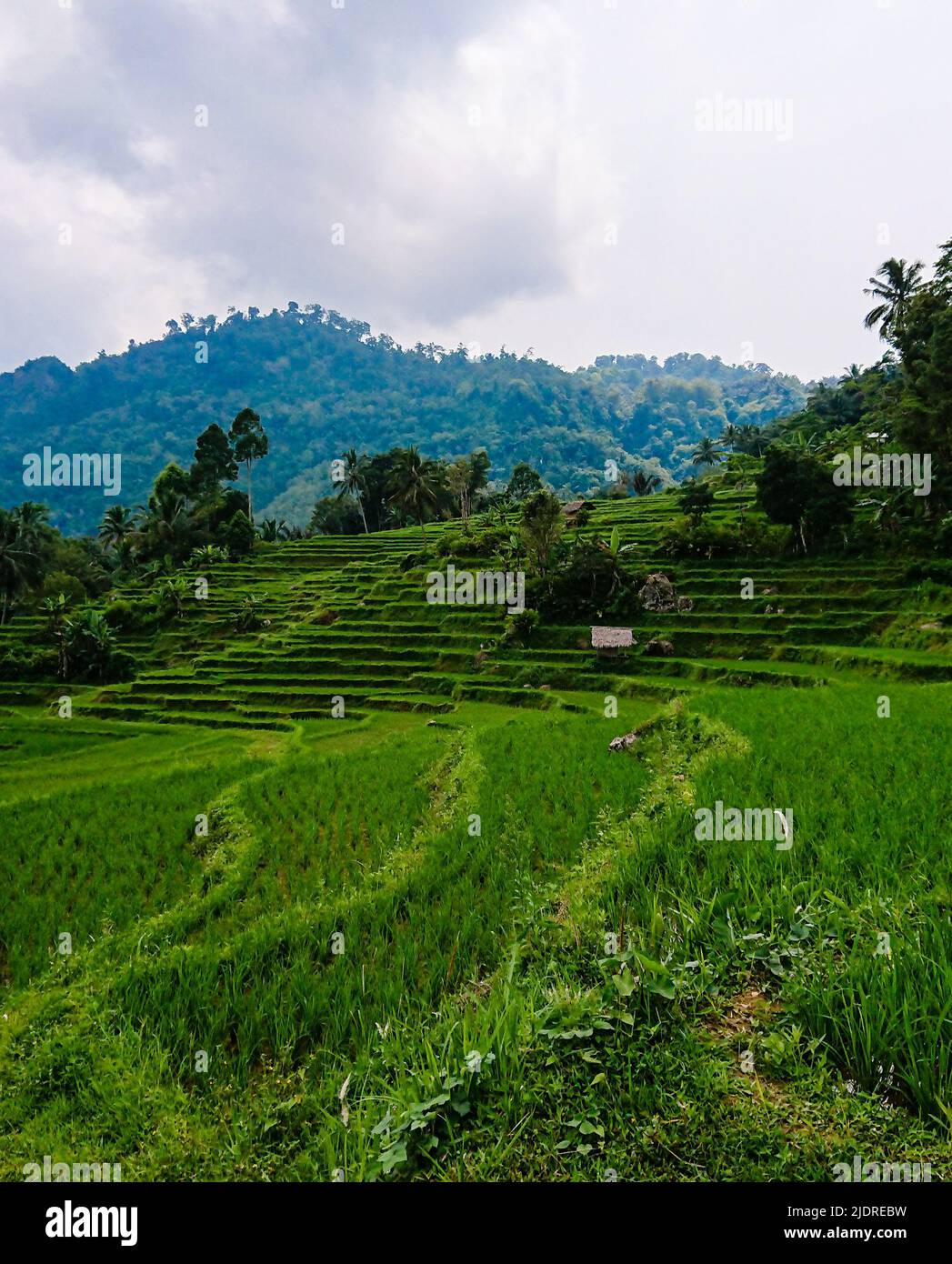 Tasikmalaya hi-res stock photography and images - Alamy