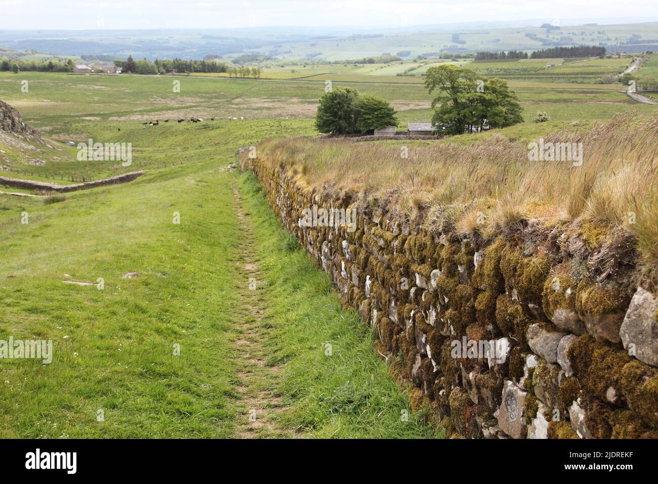 Hadrian's Wall at Windsill Fault in Northumberland, built by Hadrian in ...